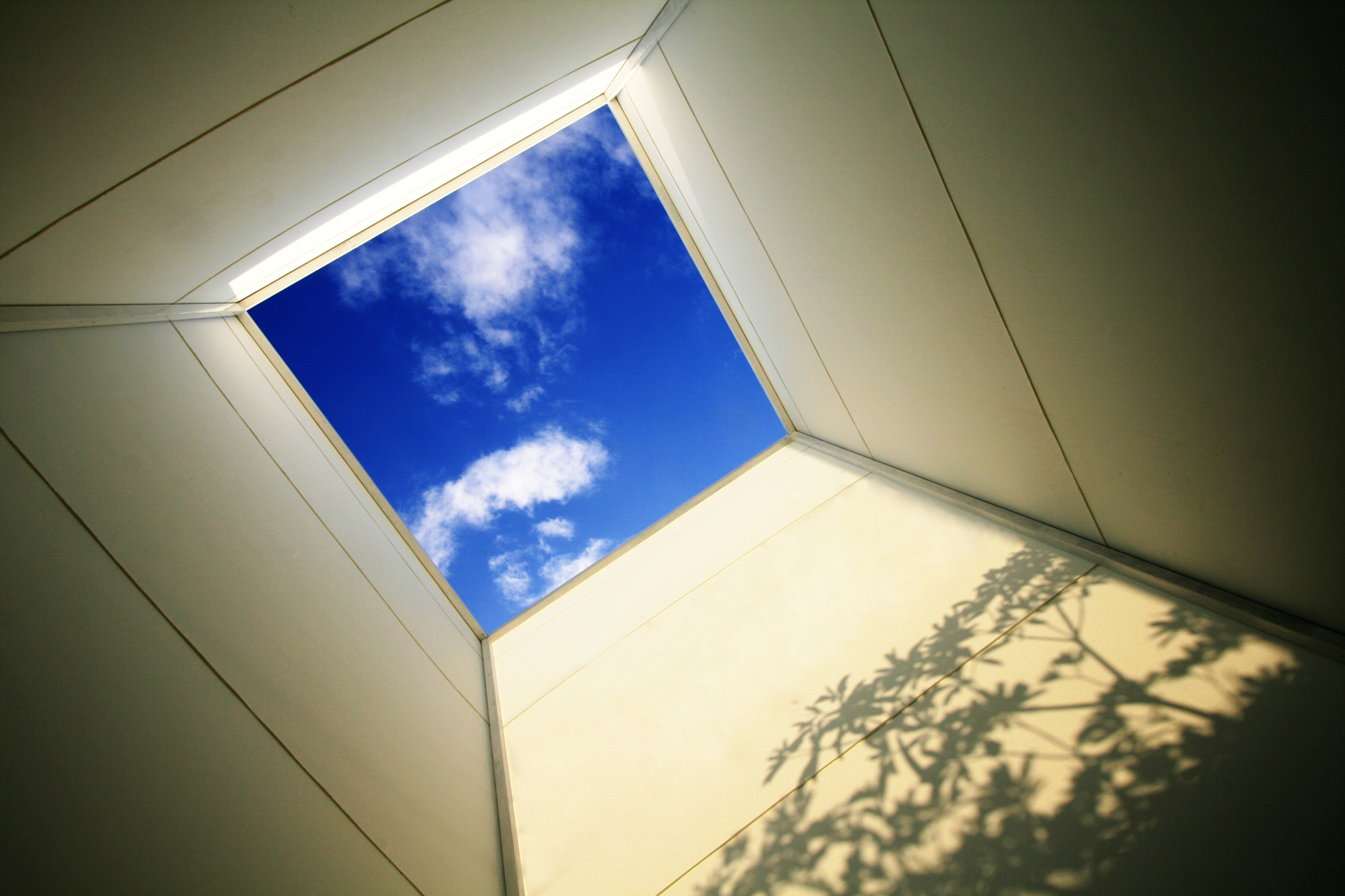 Ingfah Restaurant - Integrated Field